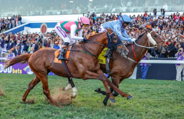 Durban-July '24 | Horse Race Betting Tips | Sportingbet Blog